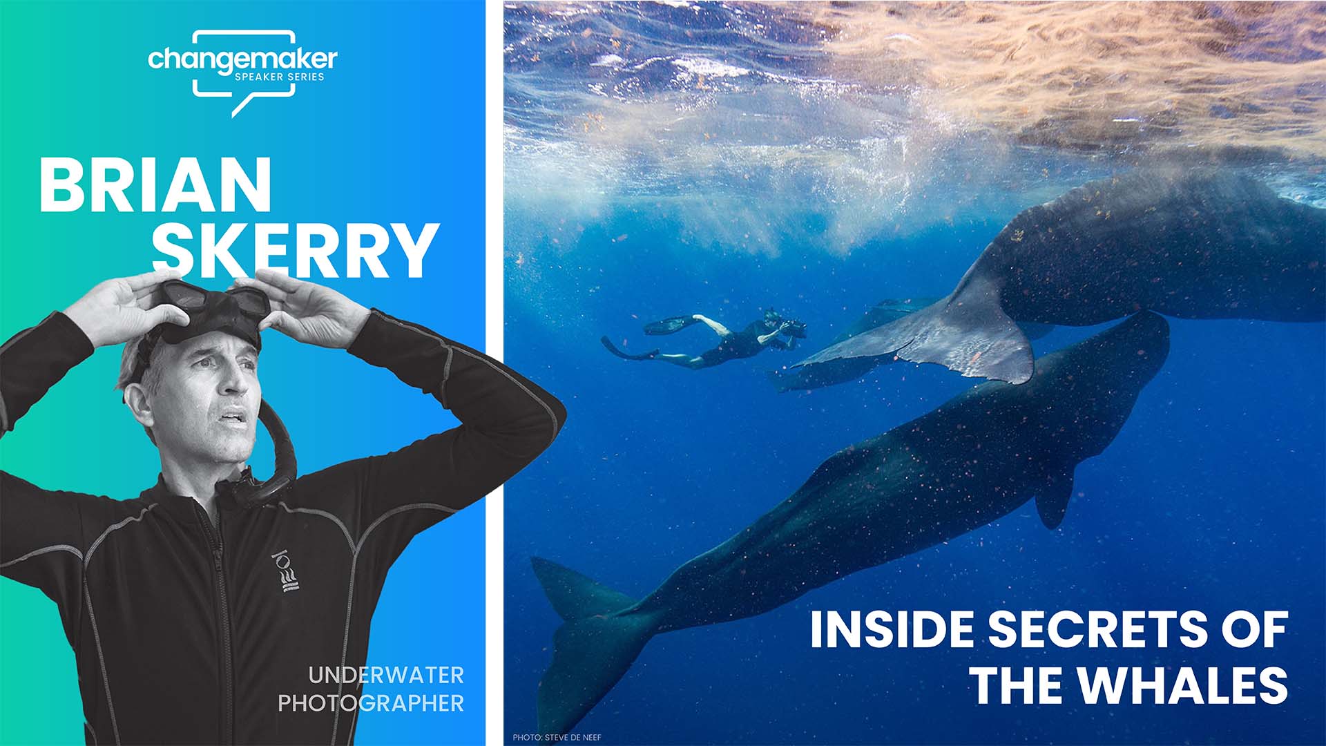 2024 March: Spring Brilliance at Overture Center - Overture