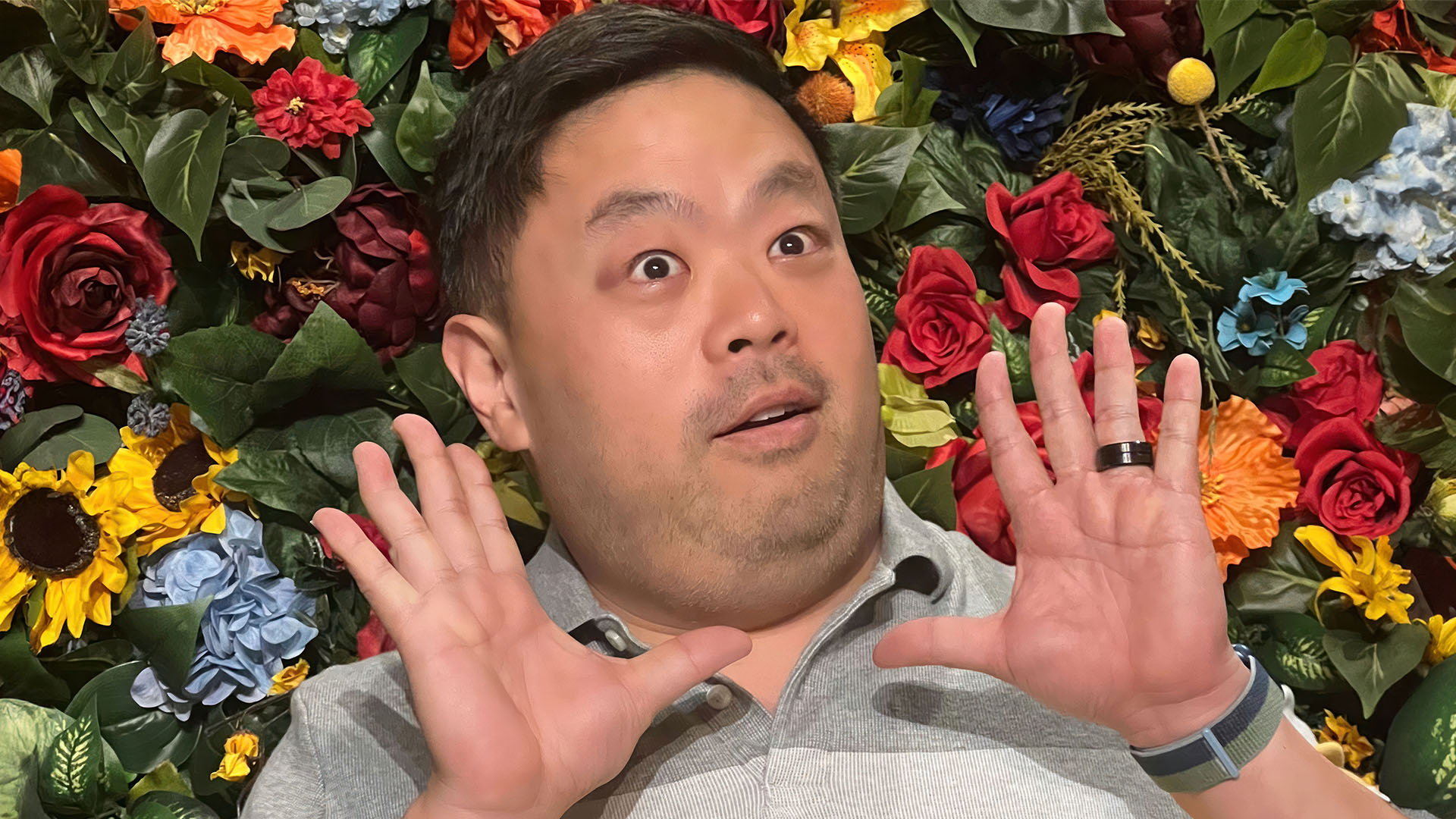 Fringe Festival - Chris Grace: Sardines - Overture