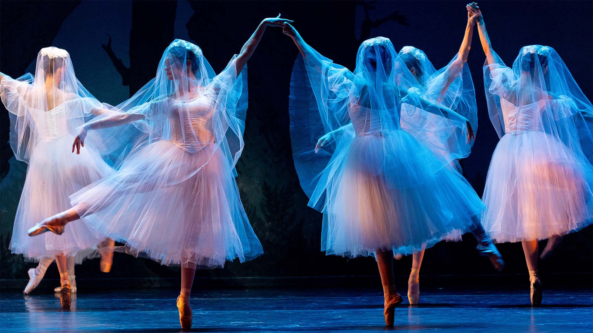 2024 August: Madison Ballet - Overture