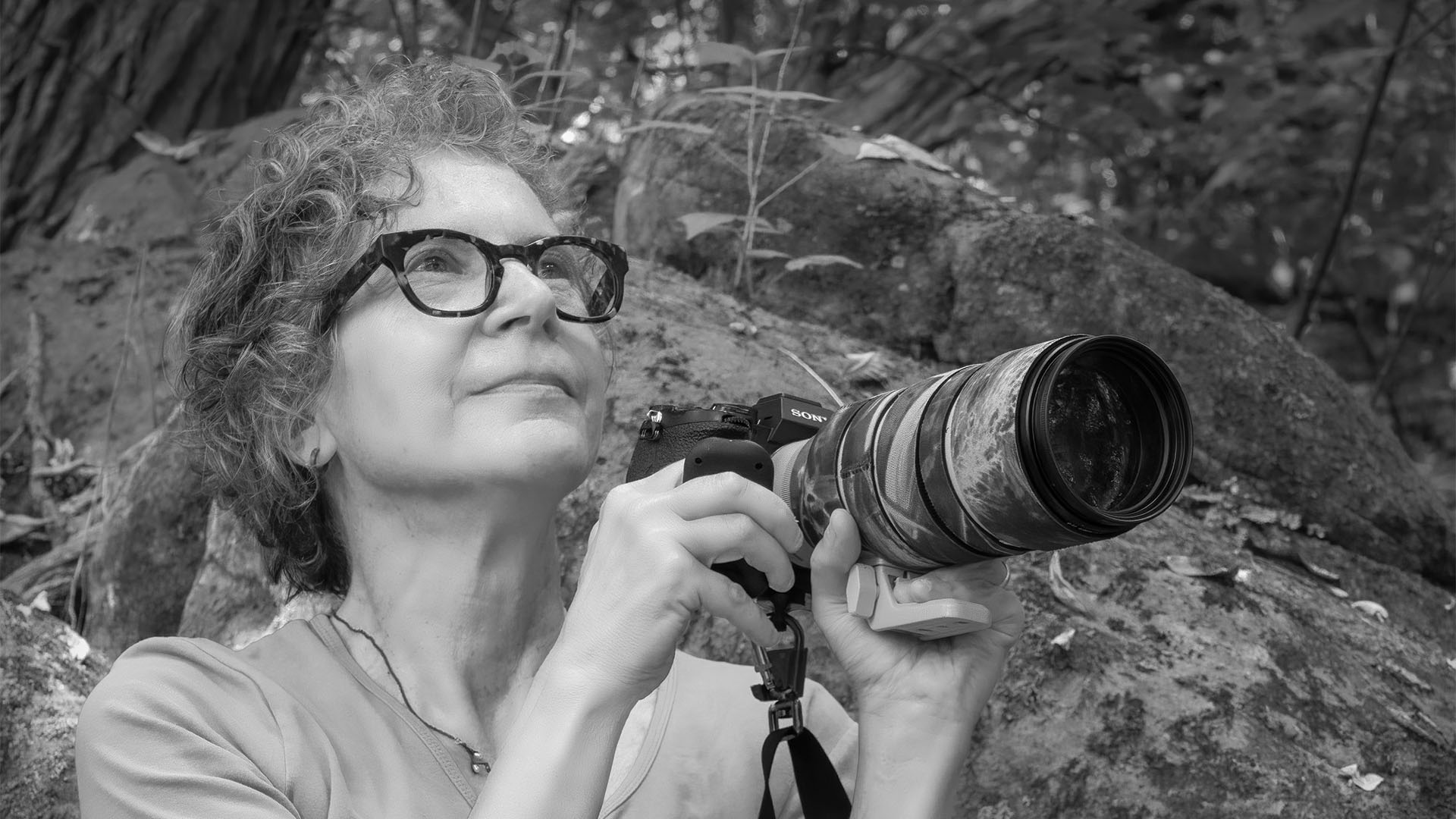 2023 July: Lisa A. Frank - Overture