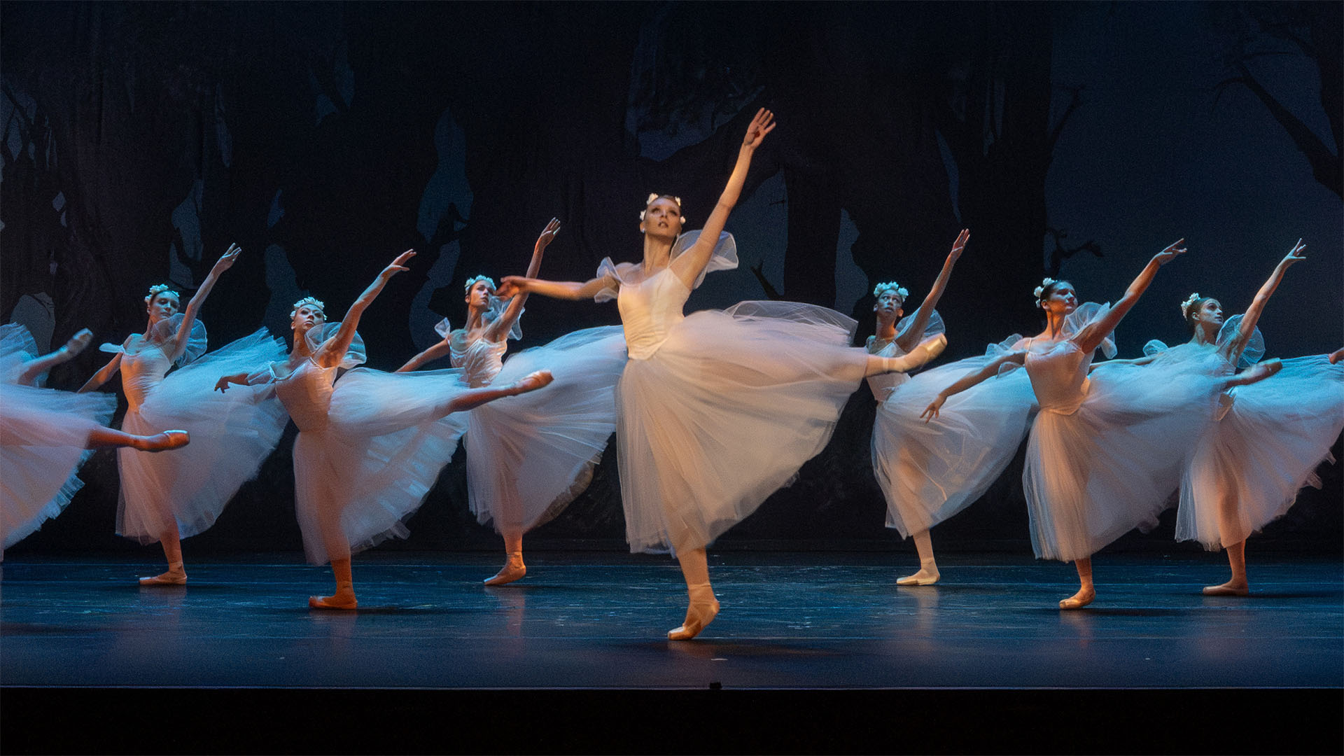 Resident Companies - Overture