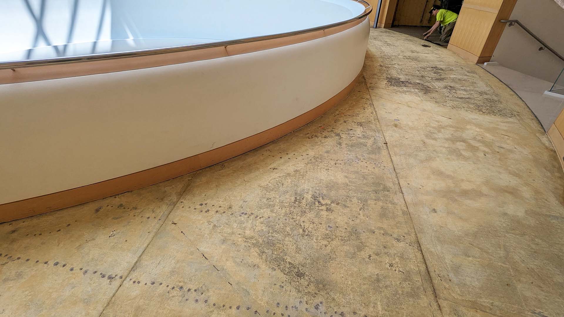 2023 June: Coyle Carpet One Floor & Home - Overture